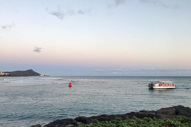 Waikiki Beach Glass Bottom Boat Tour - The Mixed Bag: What Could Be Better?