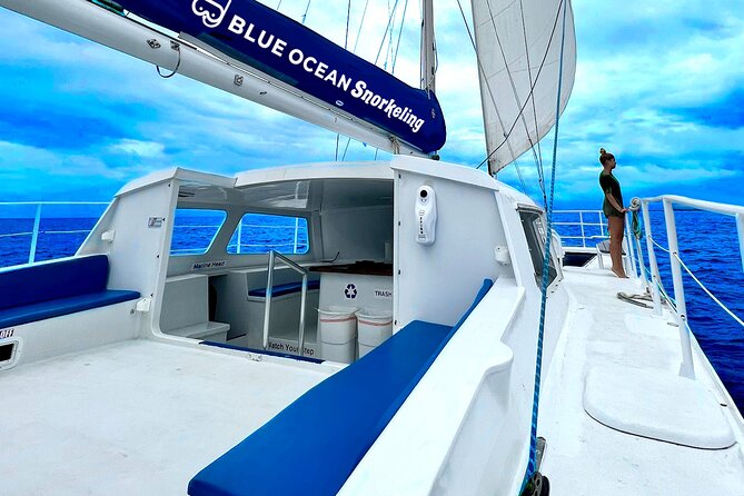 Waikiki Catamaran Escape: Snorkel With Turtles & Water Sports Fun - What to Expect