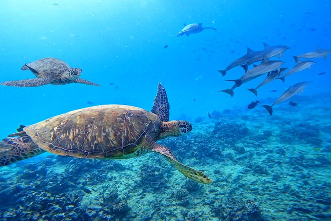 Waikiki Catamaran Escape: Snorkel With Turtles & Water Sports Fun - Additional Water Sports