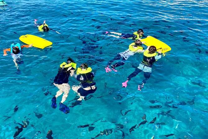 Waikiki Catamaran Escape: Snorkel With Turtles & Water Sports Fun - Considerations and Accessibility