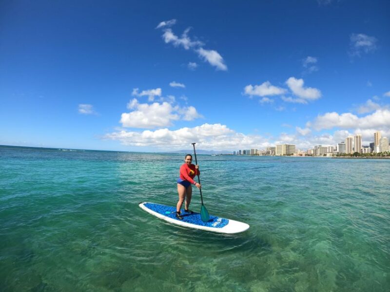 Waikiki: Family, Private and Group Standup Paddle Lessons - Key Points