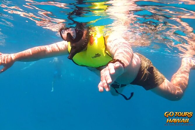 Waikiki Green Sea Turtle Snorkeling Tour - Boat Excursion - Who Will Love This Tour?