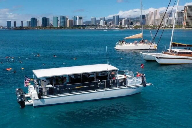 Waikiki Green Sea Turtle Snorkeling Tour - Boat Excursion - Frequently Asked Questions