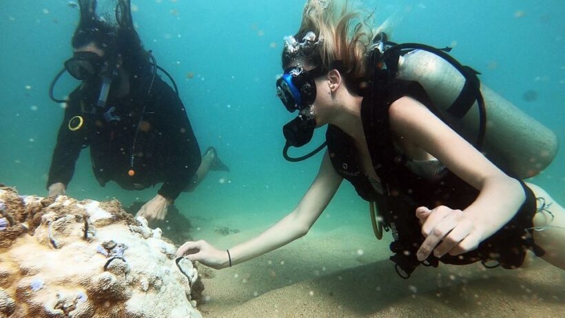 Waikiki: Honolulu Beginner Scuba Diving with Videos - Why This Tour Offers Great Value