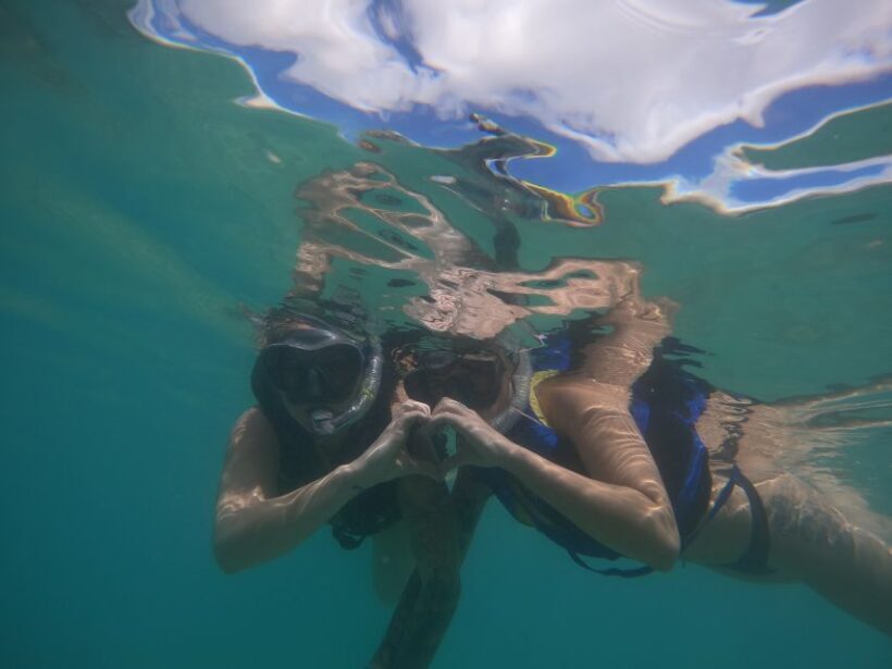Waikiki: Honolulu Beginner Snorkeling Tour with Videos - Exploring the Tour: What to Expect
