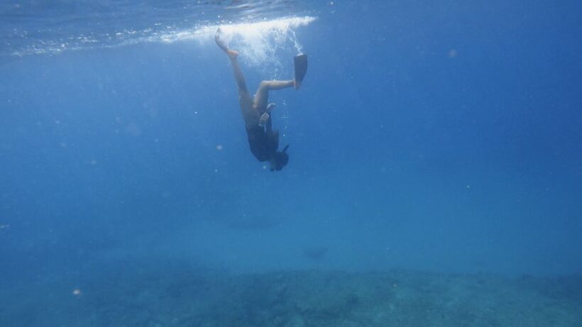 Waikiki: Honolulu Beginner Snorkeling Tour with Videos - The Real Experience: What Travelers Say
