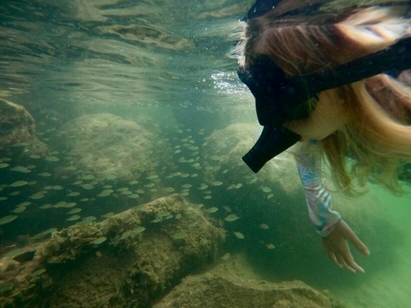 Waikiki: Honolulu Beginner Snorkeling Tour with Videos - Why This Tour Is a Solid Choice