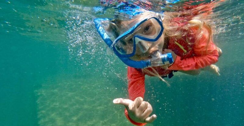 Waikiki: Honolulu Beginner Snorkeling Tour with Videos - Itinerary Breakdown: What to Expect