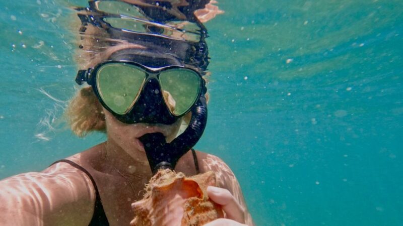 Waikiki: Honolulu Beginner Snorkeling Tour with Videos - The Pros and Cons: Realistic Expectations