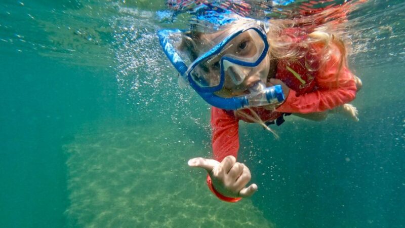 Waikiki: Honolulu Beginner Snorkeling Tour with Videos - Who Will Love This Tour?
