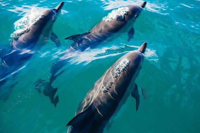 Waikiki Sail and Snorkel Adventure Best of Hawaii - Final Thoughts