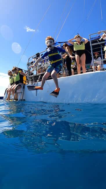 Waikiki: Sail and Turtle Snorkel Experience - Introduction: A Quick Dive into Waikiki’s Snorkel and Sail Adventure