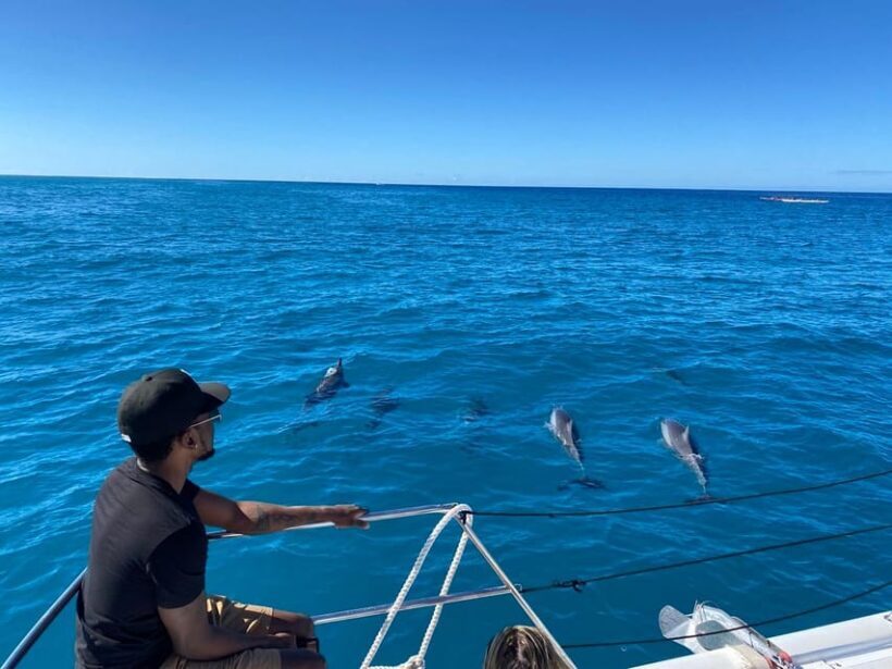 Waikiki: Sea Turtle Snorkeling, Small Group Boat Tour - FAQ