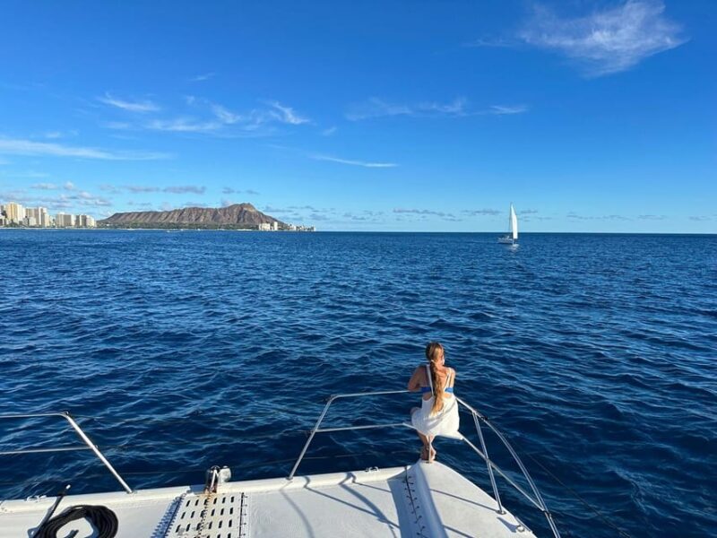Waikiki: Sea Turtle Snorkeling, Small Group Boat Tour - Who Should Consider This Tour?