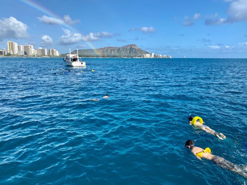 Waikiki: Sea Turtle Snorkeling, Small Group Boat Tour - The Sum Up