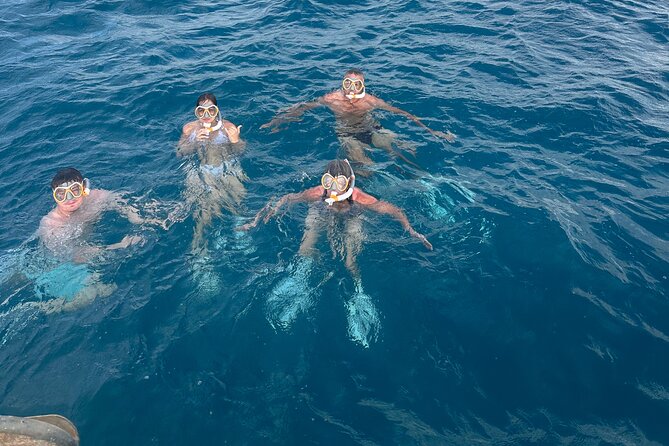 Waikiki small group turtle snorkeling & sailing - The Itinerary in Detail