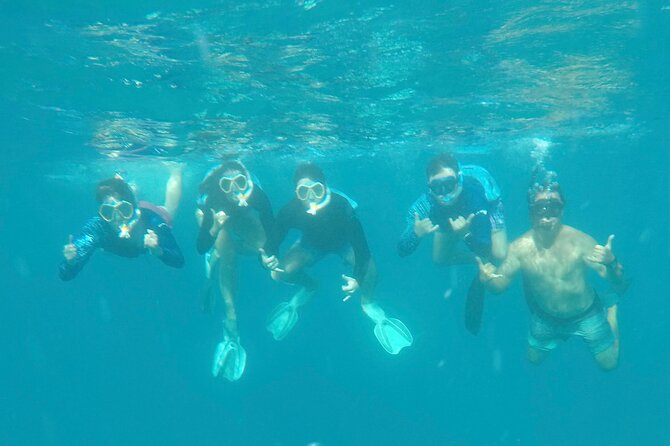 Waikiki small group turtle snorkeling & sailing - Why This Tour Offers Great Value