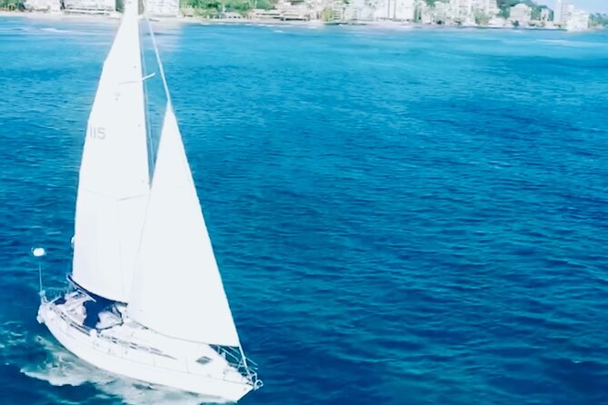 Waikiki small group turtle snorkeling & sailing - The Sum Up