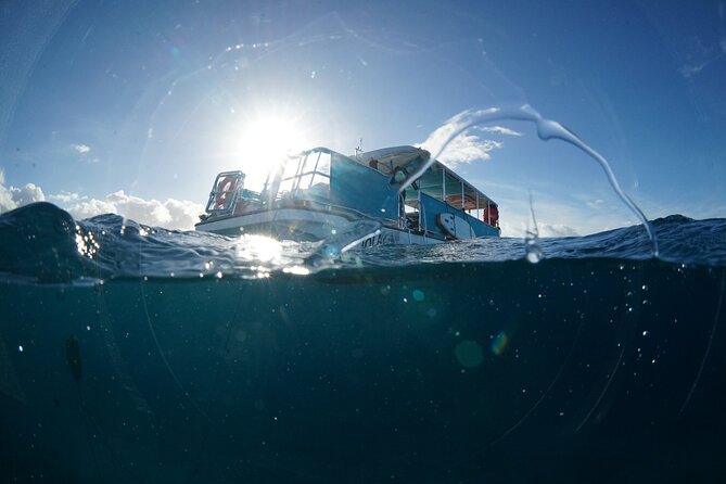 Waikiki Snorkel Tour - Price and Value