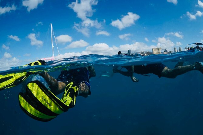 Waikiki Snorkel Tour - Considerations and Limitations