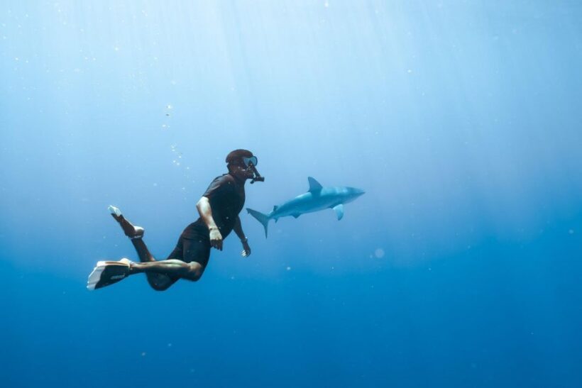 Waikiki: Snorkel Tour with Hawaiian Green Sea Turtles - Breaking Down the Itinerary