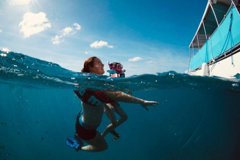 Waikiki: Snorkel Tour with Hawaiian Green Sea Turtles - Authentic Experiences and Real Feedback