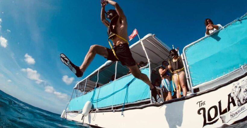 Waikiki: Snorkel Tour with Hawaiian Green Sea Turtles - The Sum Up: Is This Tour Right for You?