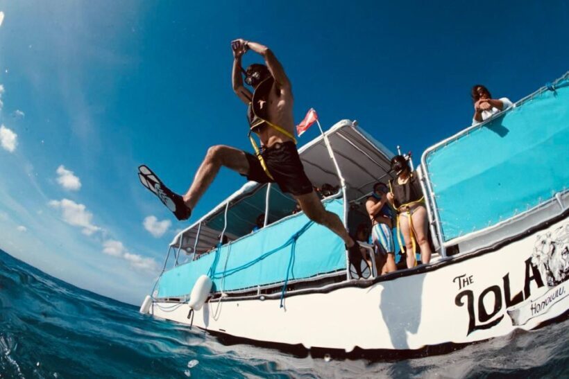 Waikiki: Snorkel Tour with Hawaiian Green Sea Turtles - FAQs