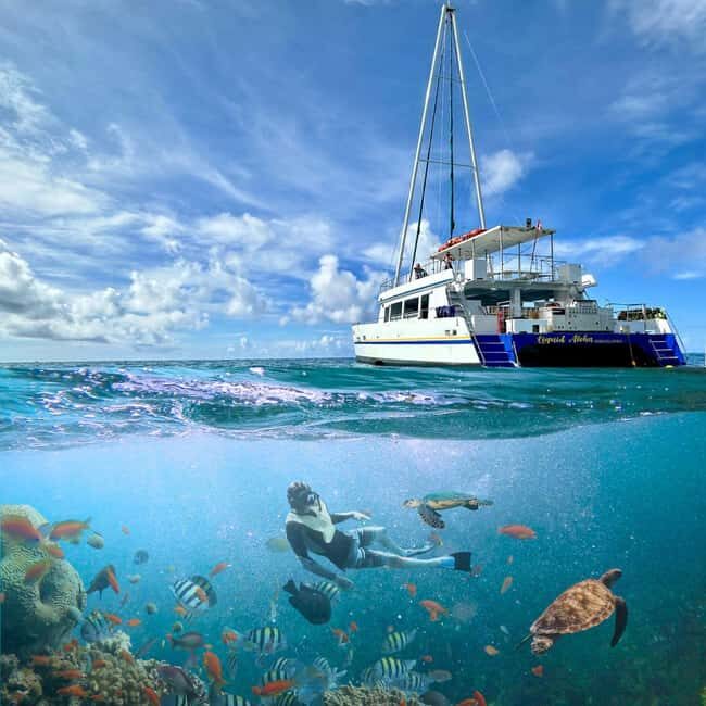 Waikiki Snorkeling and Ocean Waterpark Adventure - Pricing and Value