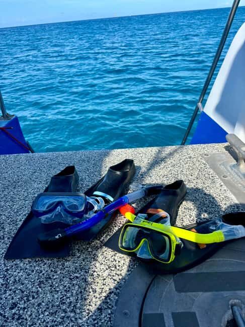 Waikiki Snorkeling and Ocean Waterpark Adventure - FAQ