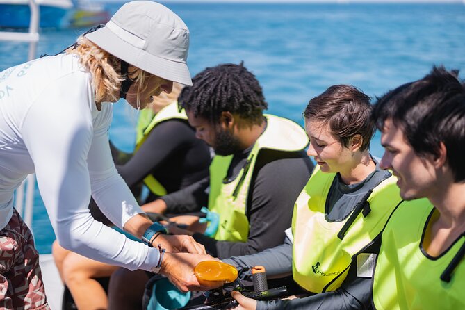 Waikiki Turtle Canyon Snorkeling With Lunch and Hula Show - Onboard Hawaiian Hula Performance