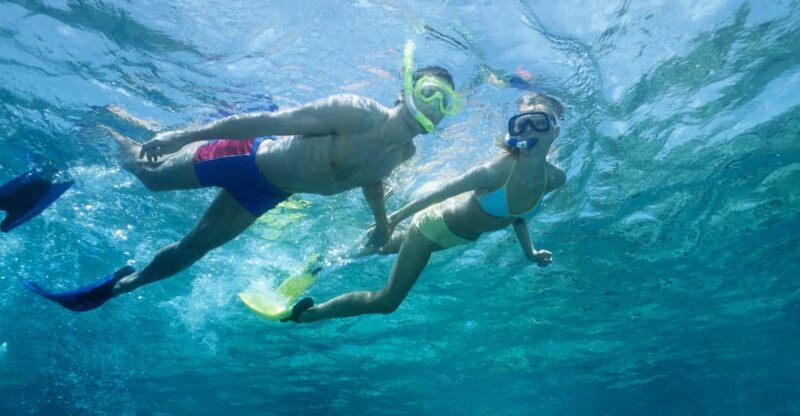 Waikiki Turtle Snorkel Adventure - Key Points