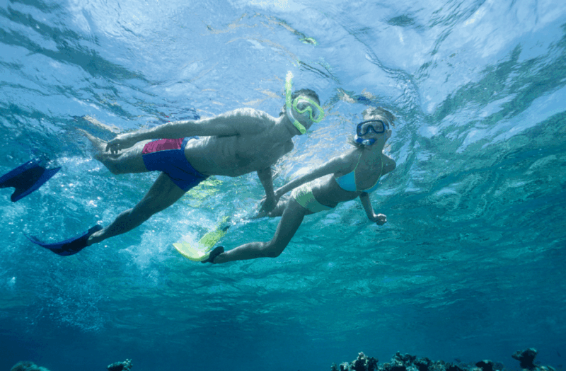 Waikiki Turtle Snorkel Adventure - Authentic Encounters and Authenticity