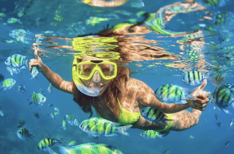 Waikiki Turtle Snorkel Adventure - FAQs