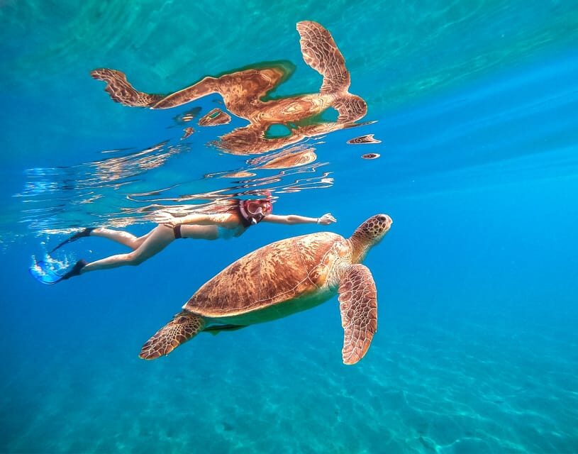 Waikiki: Turtle Snorkeling Cruise with 20ft Jumping Platform - The 20-Foot Jumping Platform