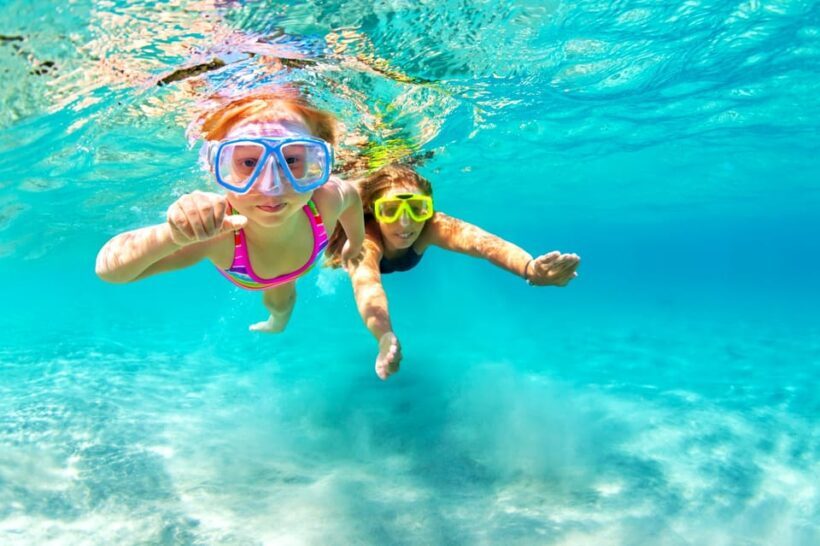Waikiki: Turtle Snorkeling Cruise with 20ft Jumping Platform - Authentic Experiences and Real Traveler Feedback
