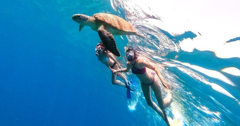 Waikiki: Turtle Snorkeling Cruise with 20ft Jumping Platform - Who Will Love This Tour?