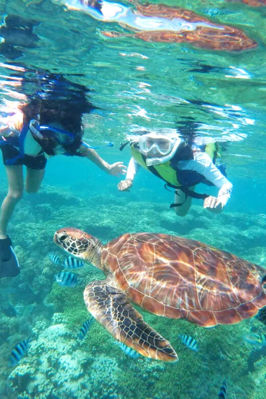 Waikiki: Turtle Snorkeling Cruise with 20ft Jumping Platform - Final Thoughts