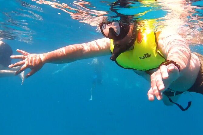 Waikiki Turtle Snorkeling Tour - An Honest Look at the Waikiki Turtle Snorkeling Tour