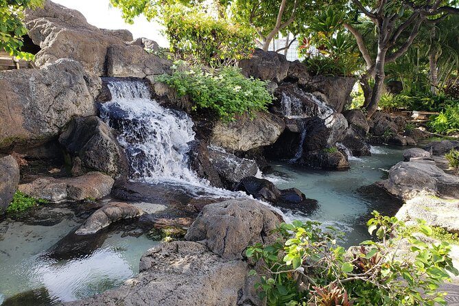 Waikiki Walking Tour, Treats, Free Video and Pics! - A Closer Look at the Waikiki Walking Tour