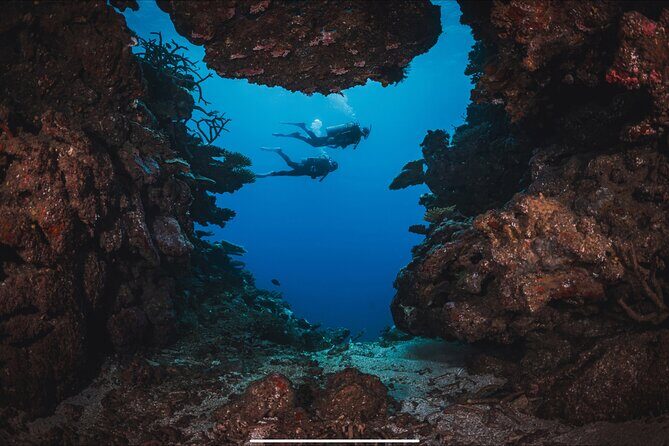 Waikikis Best Wreck And Reef Dive - Why This Tour Outshines Others