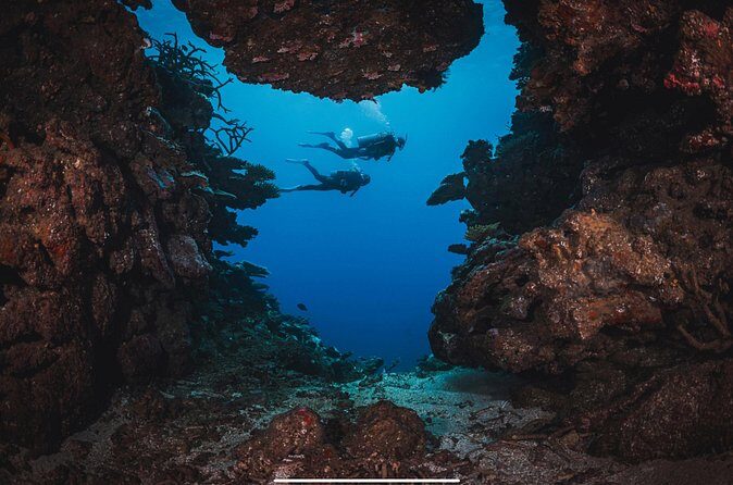 Waikikis Best Wreck And Reef Dive - Practical Details