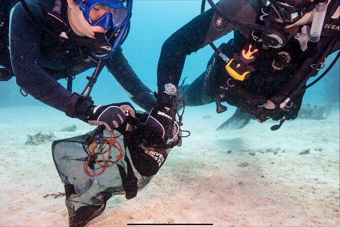 Waikikis Best Wreck And Reef Dive - Final Thoughts: Is It Worth It?