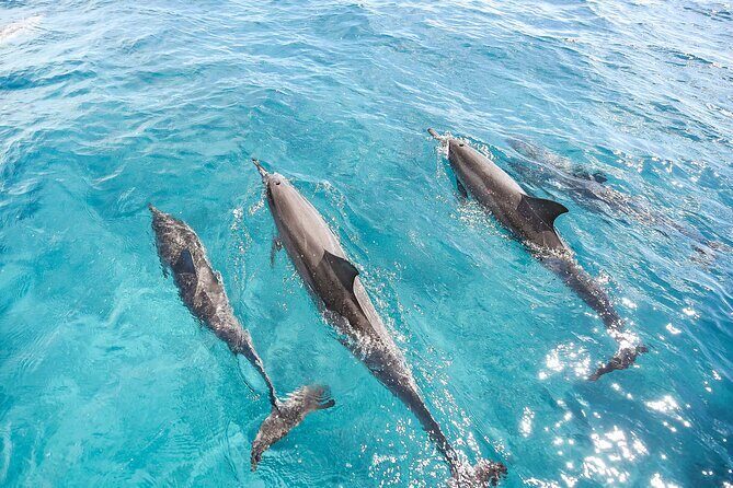 Waikiki's Premier Small Group Sunset Yacht + Tasting - Practical Details and What It Means for You