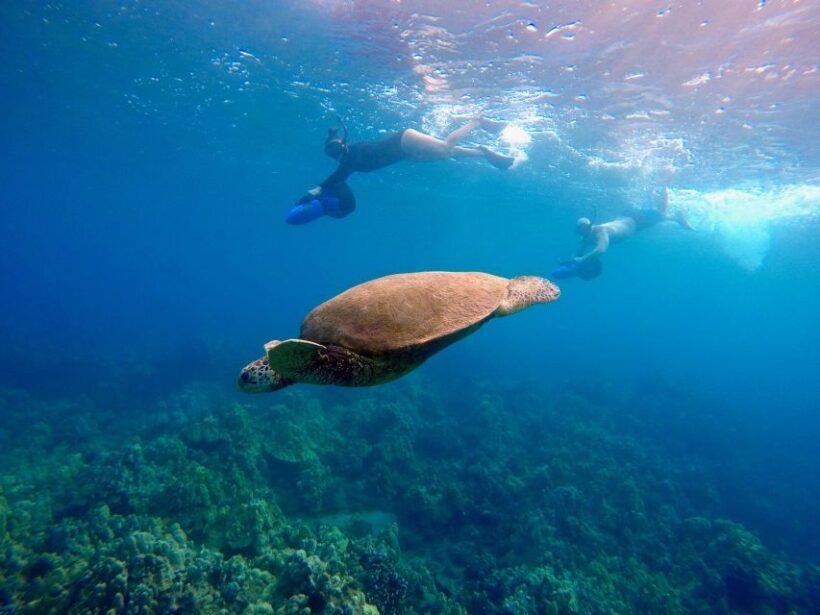 Wailea Beach: Guided Sea Scooter Snorkeling Tour - Who Will Love This Tour?