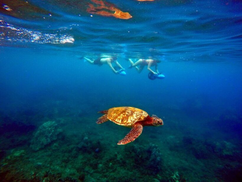 Wailea Beach: Guided Sea Scooter Snorkeling Tour - The Sum Up