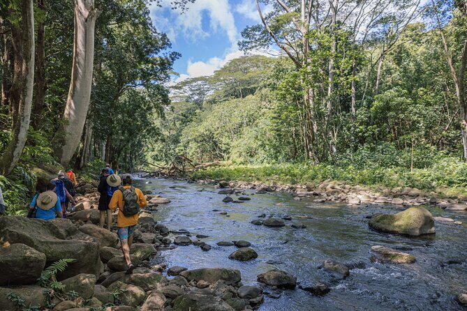 Wailua River: Kayak & Secret Waterfall Adventure - The Guide Experience and Reviews