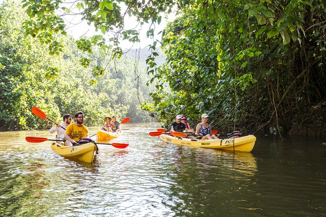 Wailua River Paddle - The Guide and Group Dynamics
