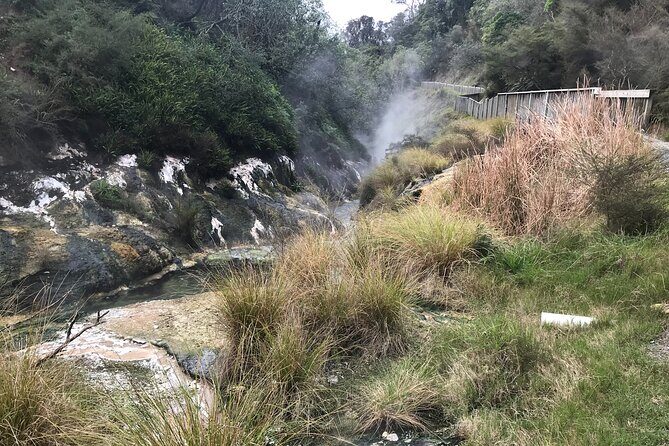 Waimangu Geothermal Valley & Lake Rotomahana Tour  7hrs - An In-Depth Look at the Waimangu Valley & Lake Rotomahana Experience