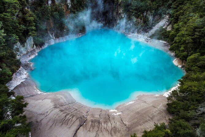 Waimangu Geothermal Valley & Lake Rotomahana Tour  7hrs - What You Should Know Before Booking